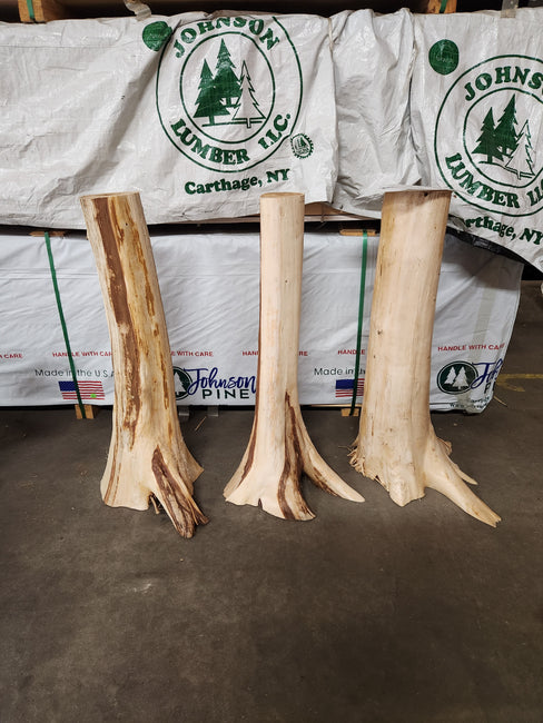 Cedar Stumps - Homestead Timbers